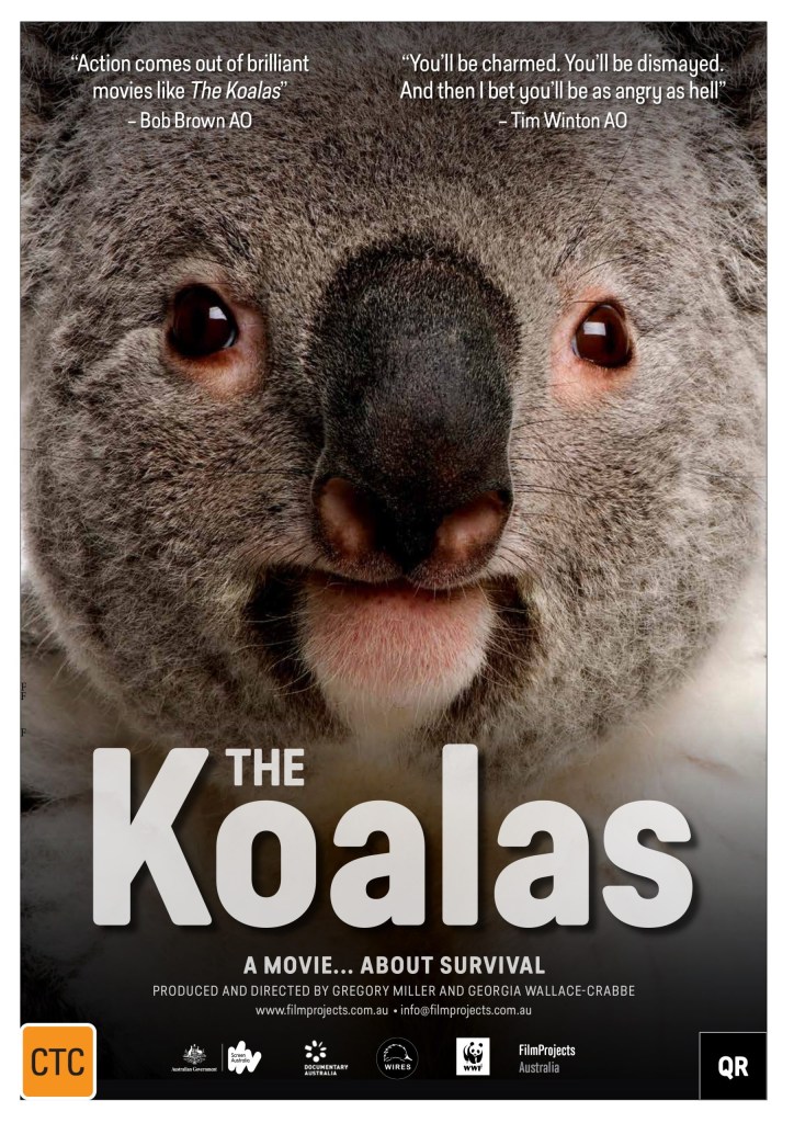 Lake Cinema – The independent cinema in Boolaroo, NSW